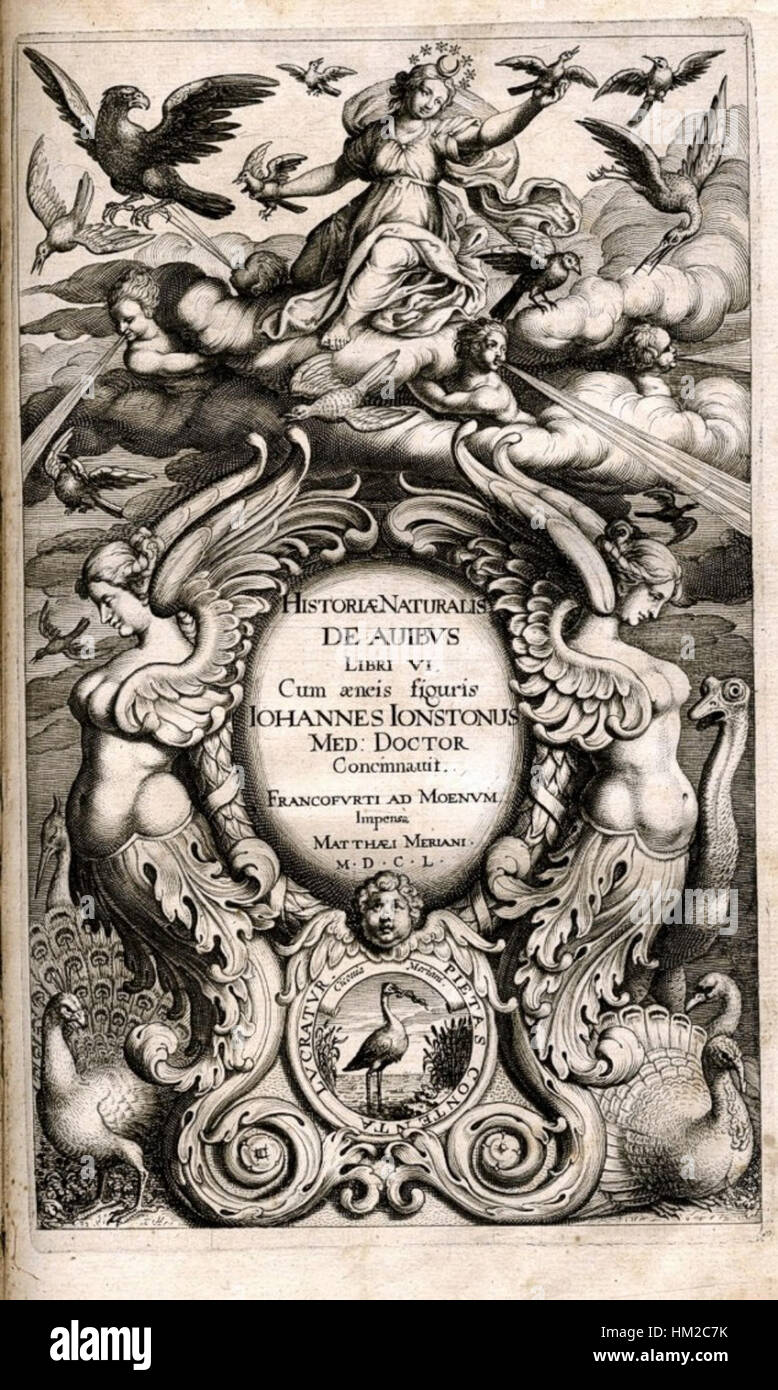 This artwork, 'De Avibus Titel' by Johnston, is a detailed illustration ...