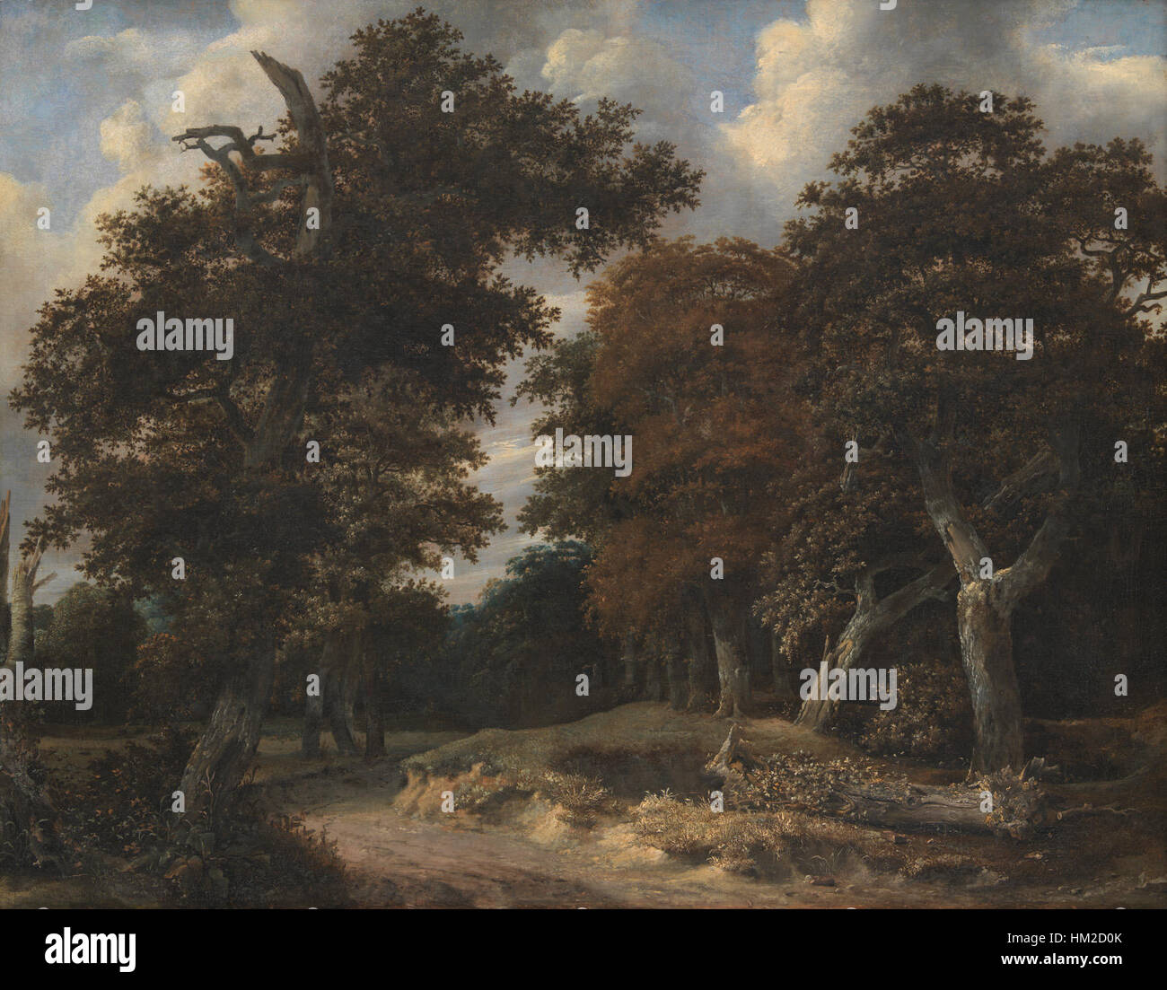 ‘Road through an Oak Forest’ by Jacob Isaacksz. van Ruisdael depicts a ...