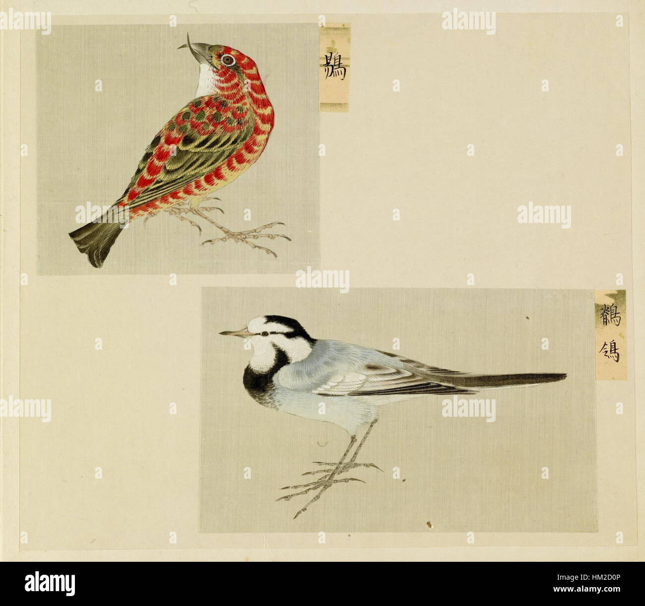 A leaf from a Japanese album depicting small birds, showcasing ...