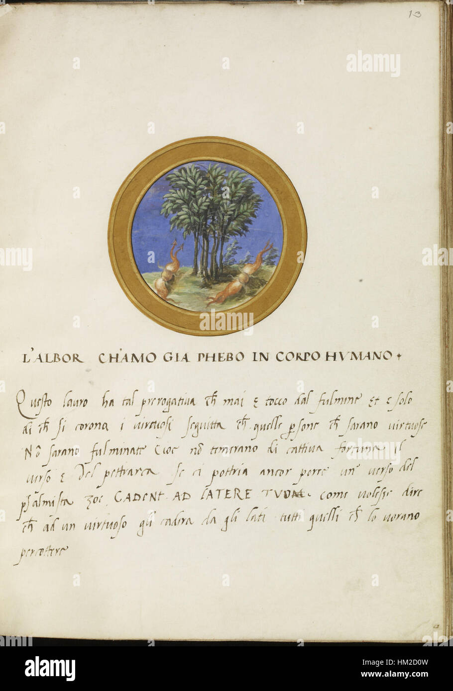 This leaf from an Italian emblem book features an open obverse ...