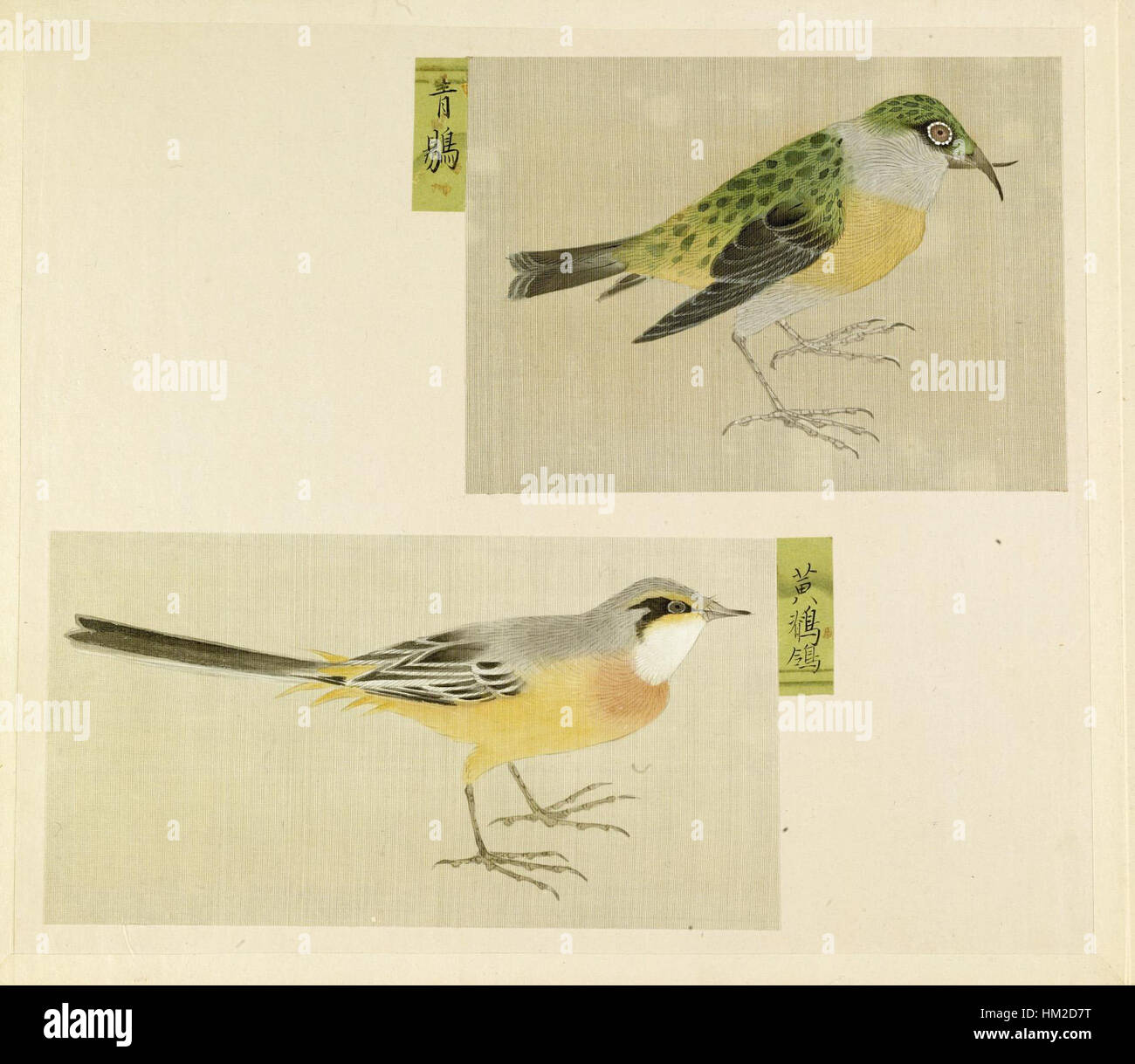 This Japanese leaf, part of a larger album, illustrates small birds ...