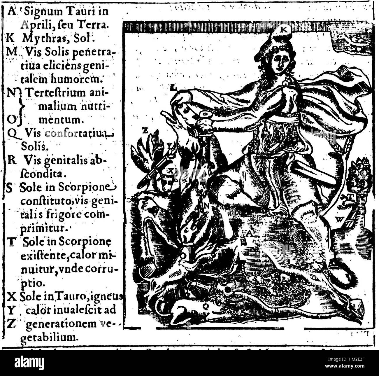 Tauroctony High Resolution Stock Photography and Images - Alamy