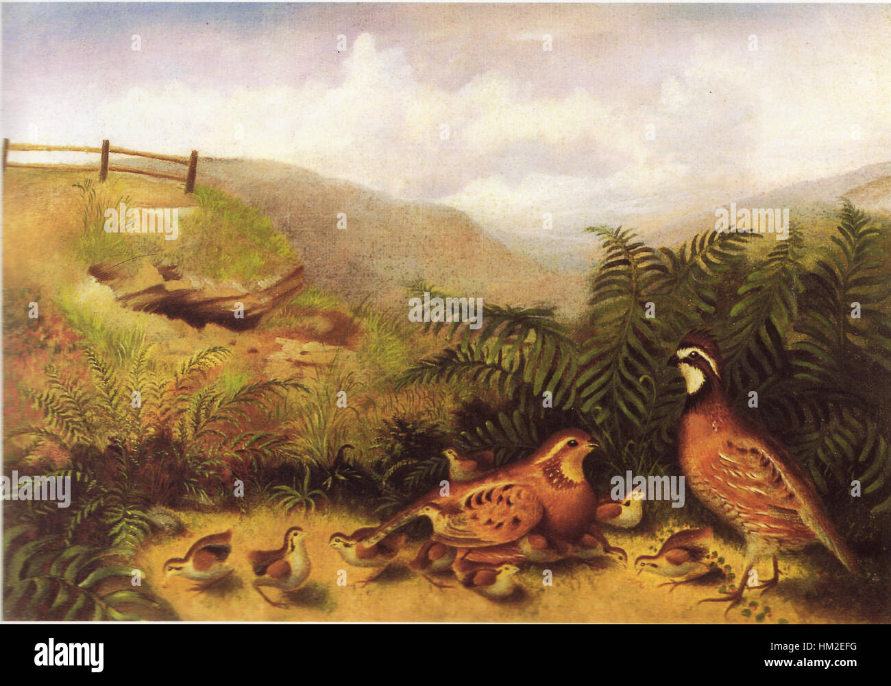 This painting by Rubens Peale depicts a detailed landscape featuring a ...