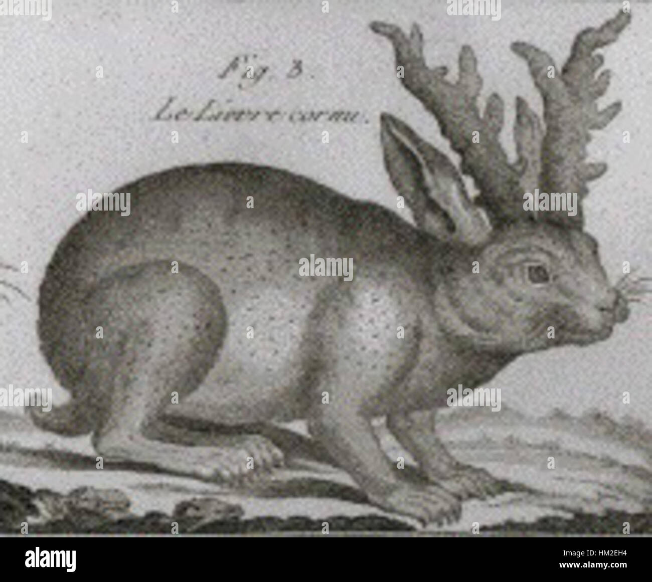 A painting depicting Lepus cornutus, also known as the horned rabbit, a ...