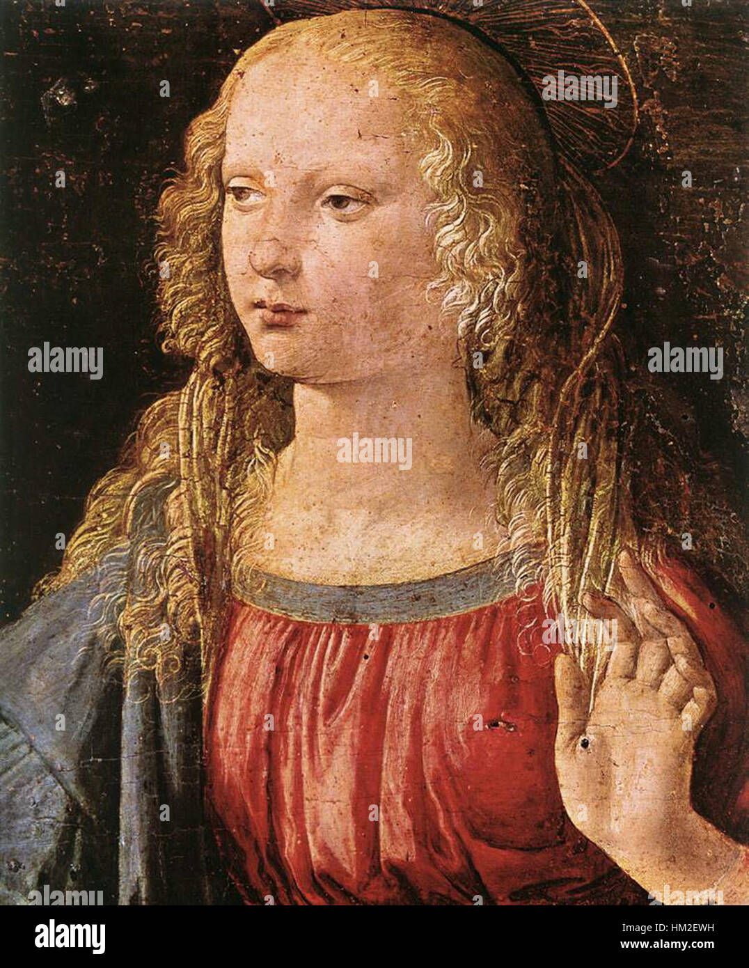 This detail from Leonardo da Vinci's 'Annunciation' showcases his skill ...