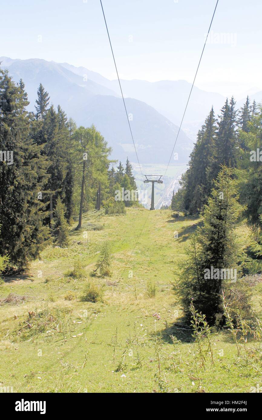 trees in Alps mountains in summer in Italy Stock Photo - Alamy