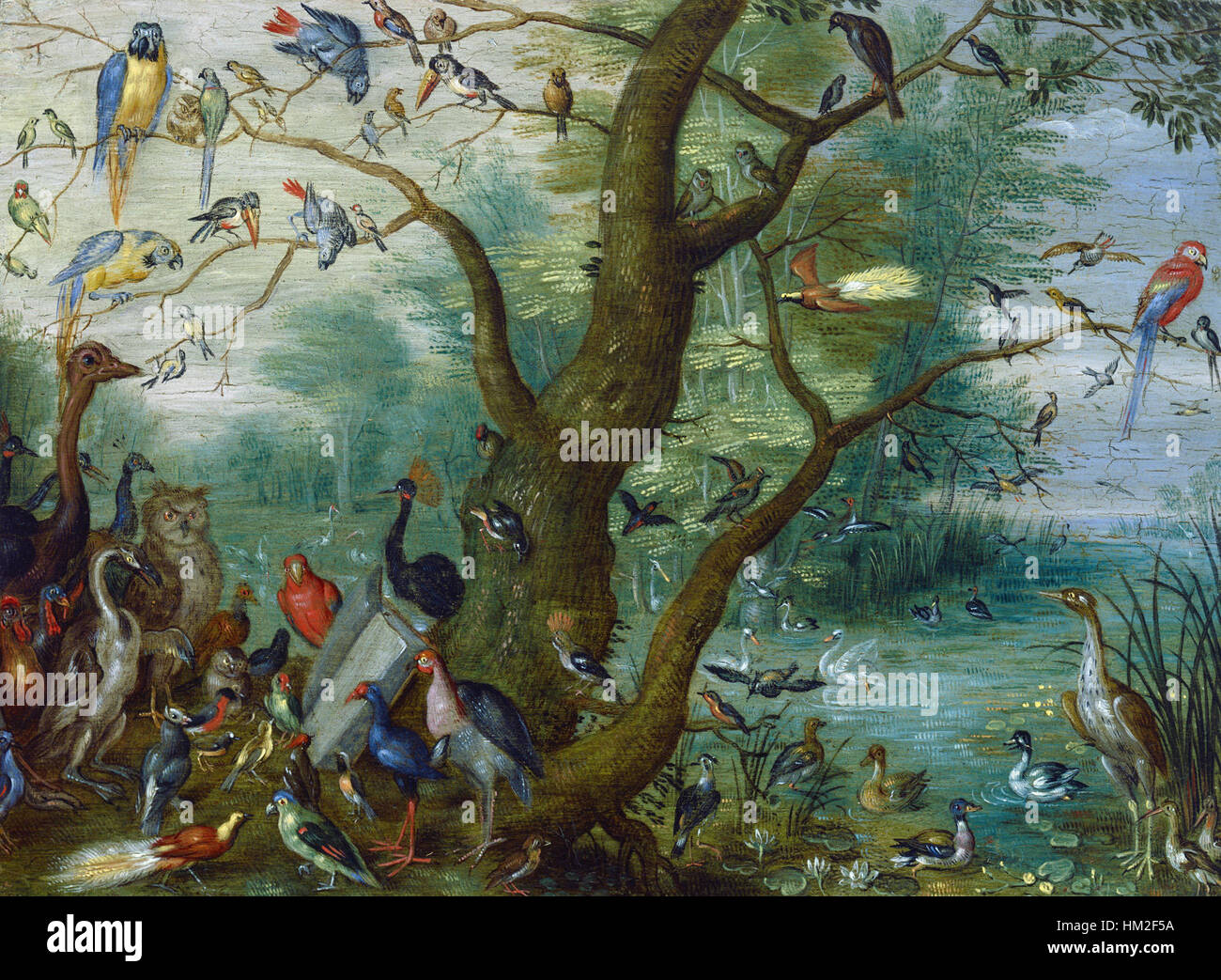 'Concert van Vogels' (Bird Concert) by Jan van Kessel de Oude, a ...