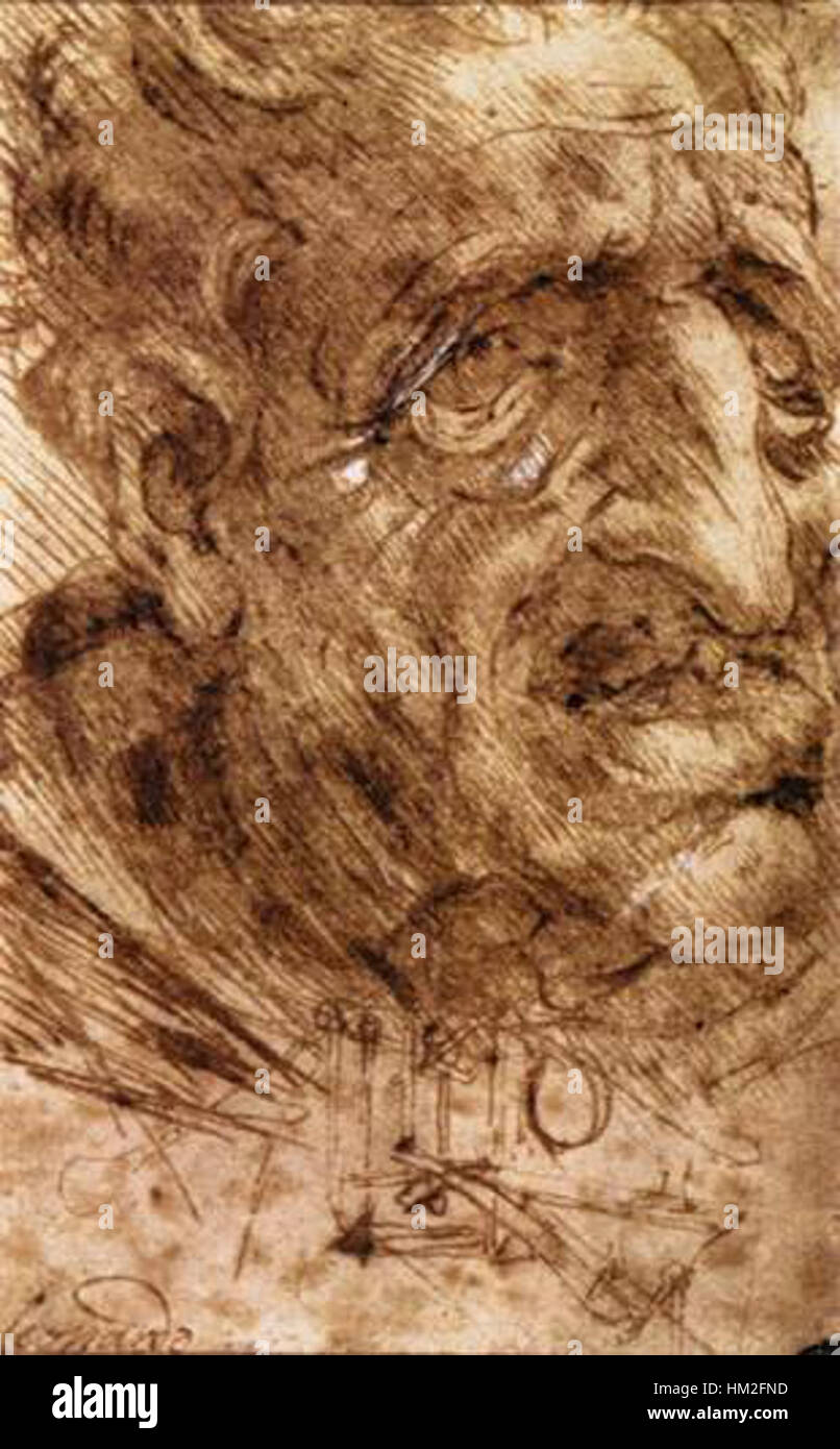 Leonardo da vinci drawing face hi-res stock photography and images - Alamy