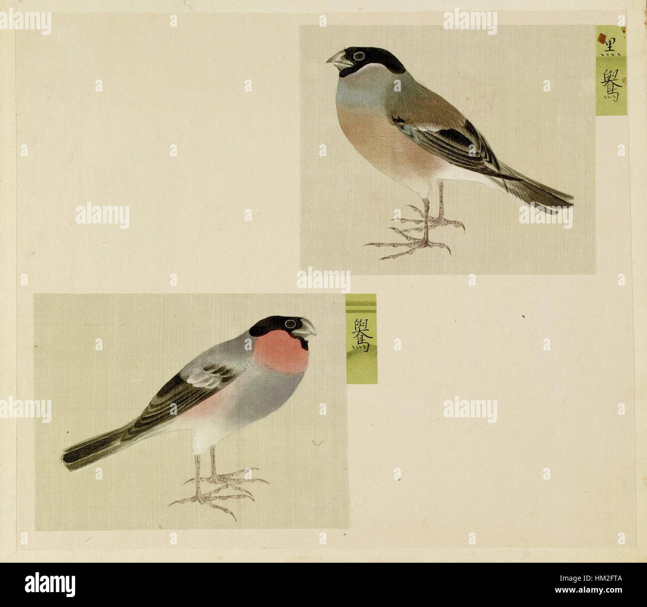 This delicate Japanese album leaf, featuring small birds, exemplifies ...