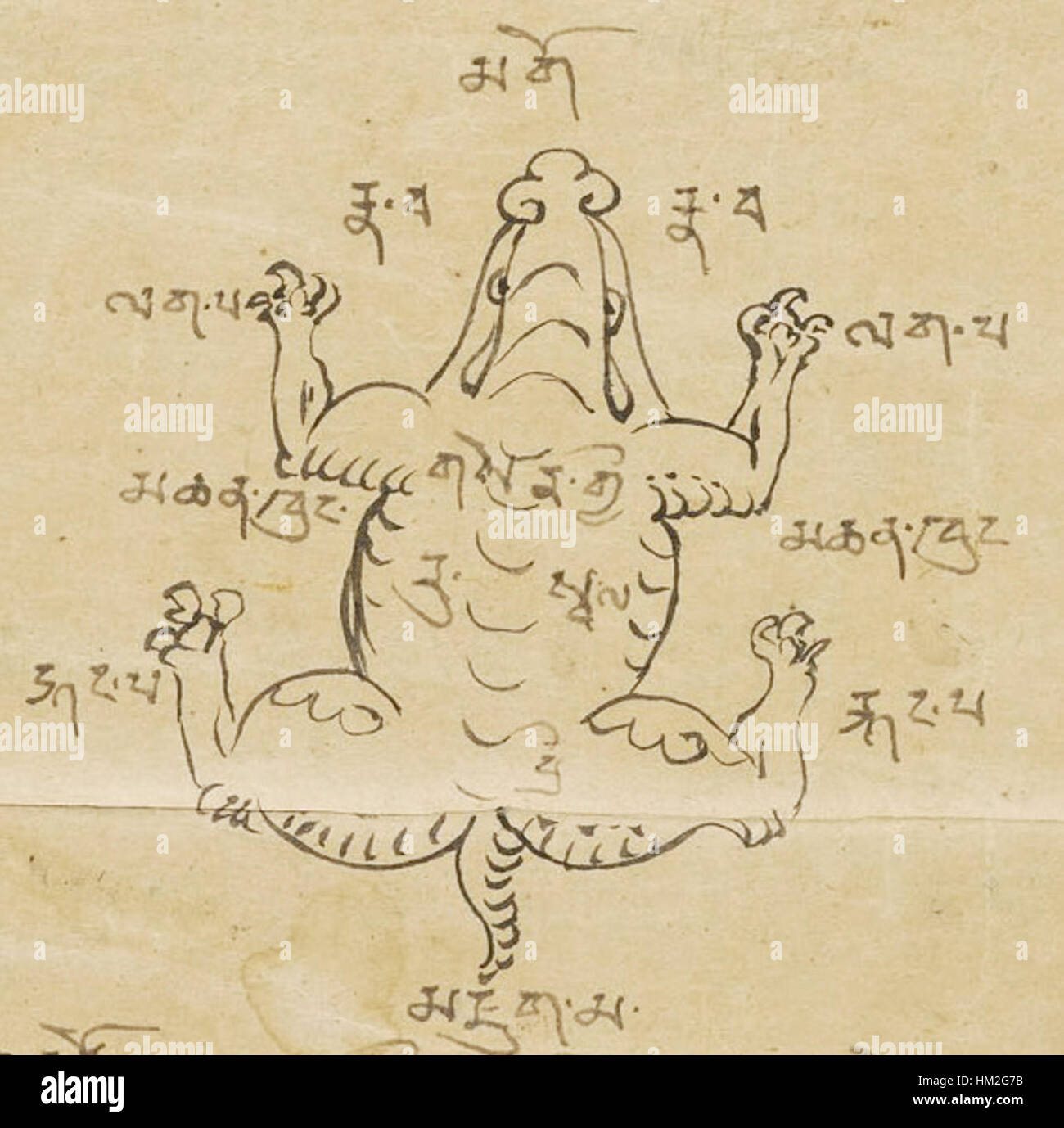 The Golden Tortoise is an artwork depicting a detailed representation ...