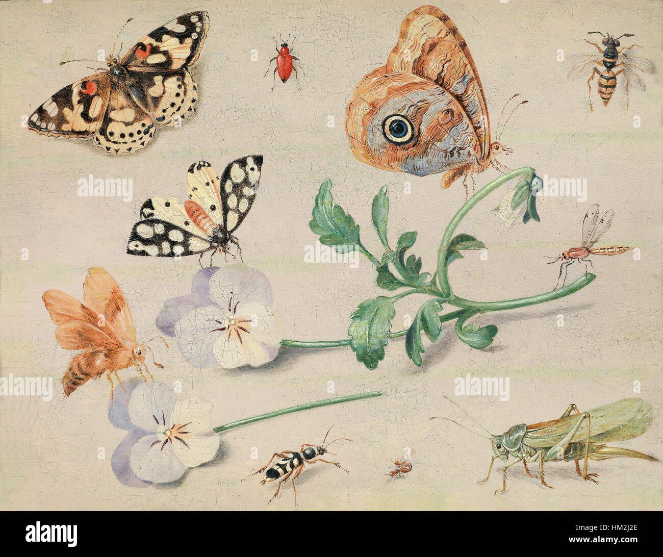 Jan van Kessel I’s 'Insekten' (Insects) is a detailed and precise 17th ...