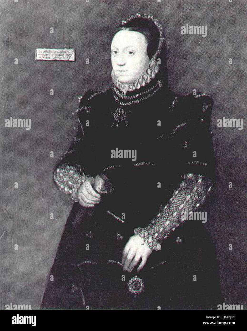 This portrait depicts Jane Fitzalan, Lady Lumley, a notable 16th ...