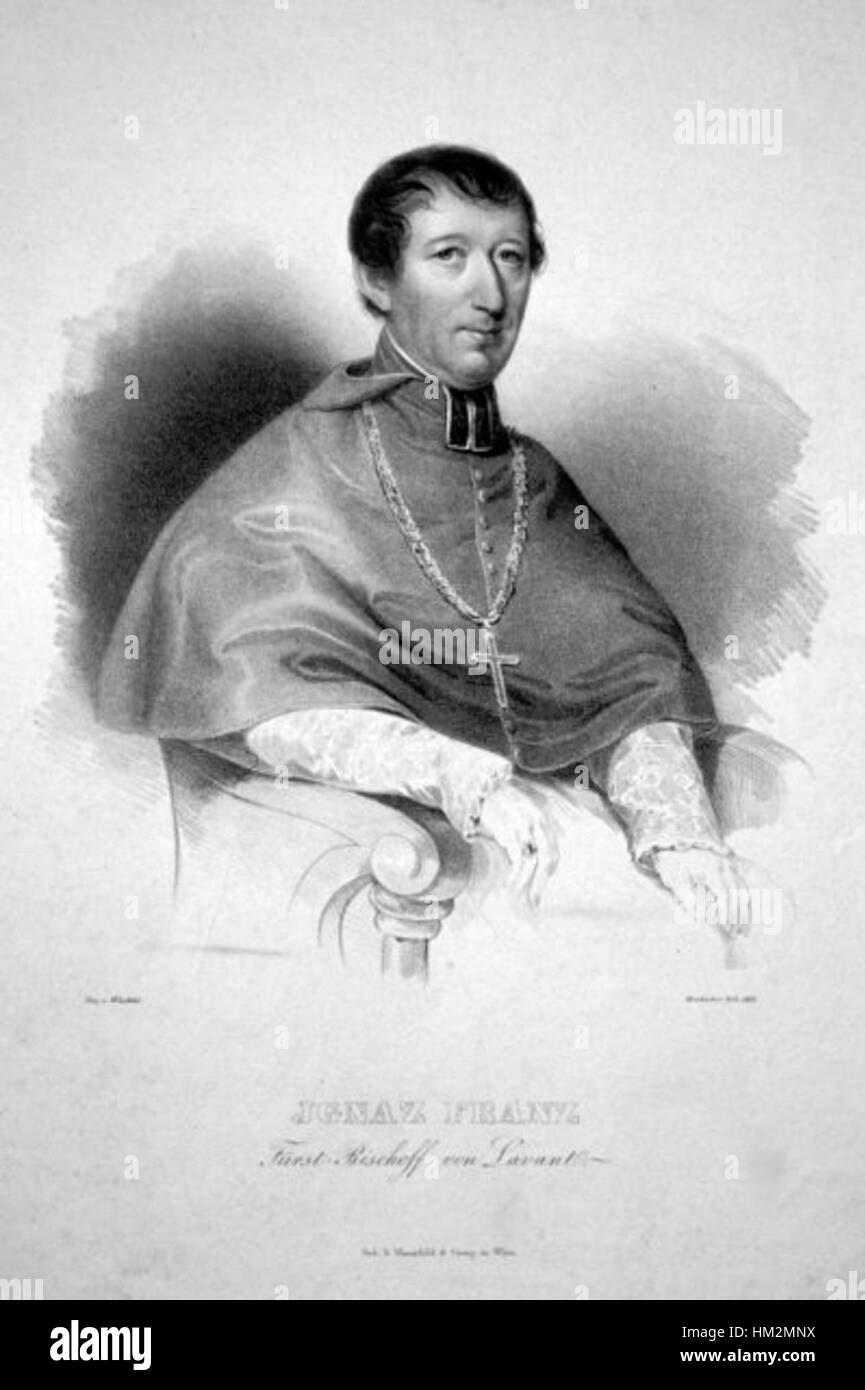 This lithograph by Ignaz Franz Zimmermann showcases the artist's ...