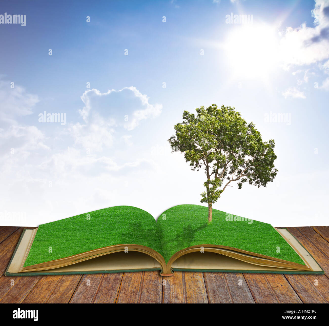Tree growing from a book Stock Photo - Alamy