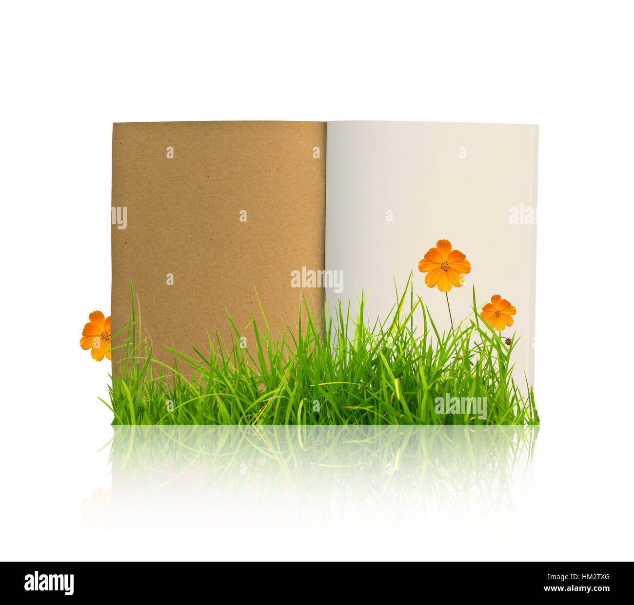 Book with flower and grass Stock Photo - Alamy