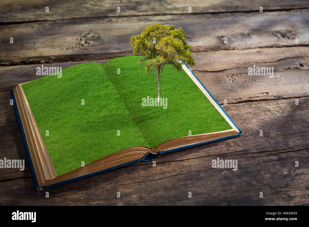 Open book with grass and tree growth on wood table Stock Photo - Alamy