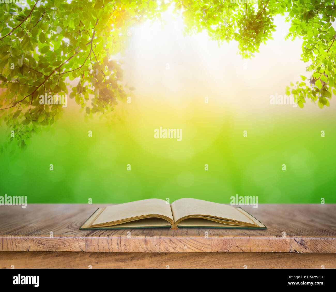 Open book on wood floor with leaf Stock Photo - Alamy
