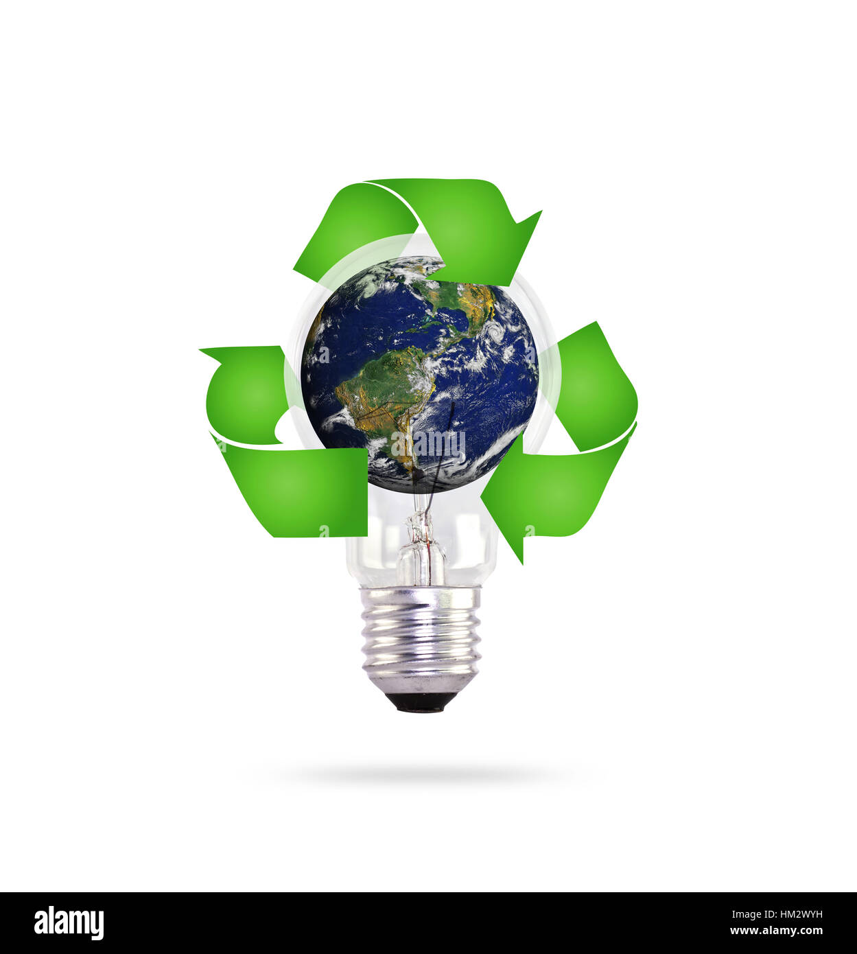 Light bulb small tree Cut Out Stock Images & Pictures - Alamy