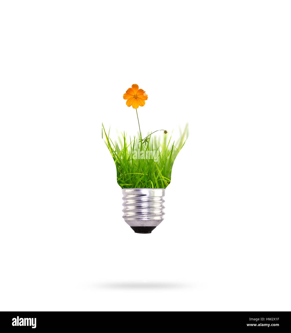 light bulb with beautiful flower inside Stock Photo - Alamy