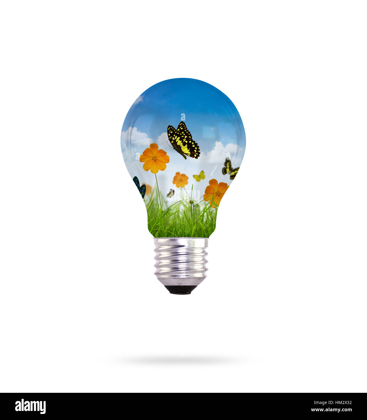 Light bulb and fresh spring green grass with butterfly Stock Photo - Alamy