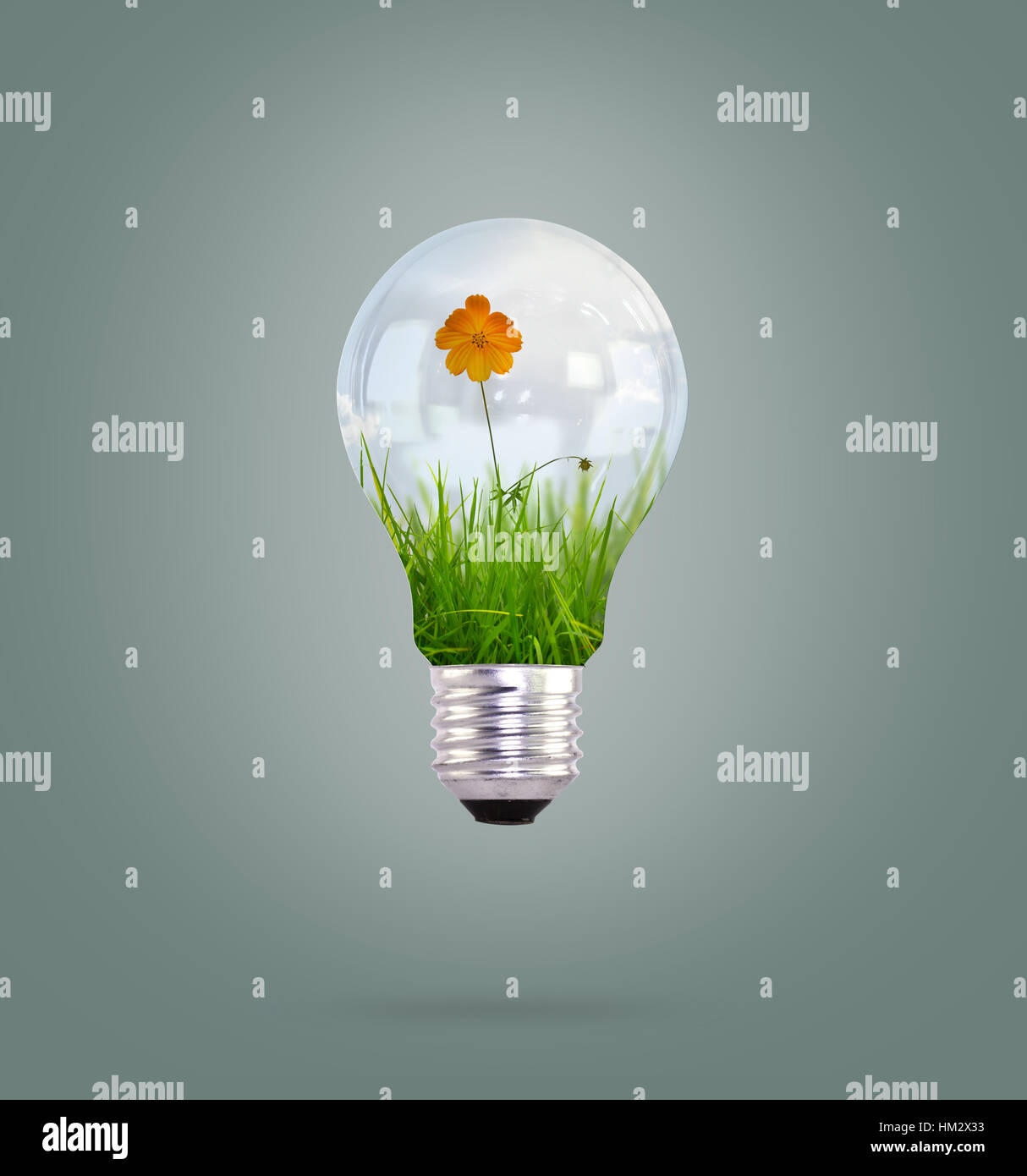 light bulb with beautiful flower inside Stock Photo - Alamy