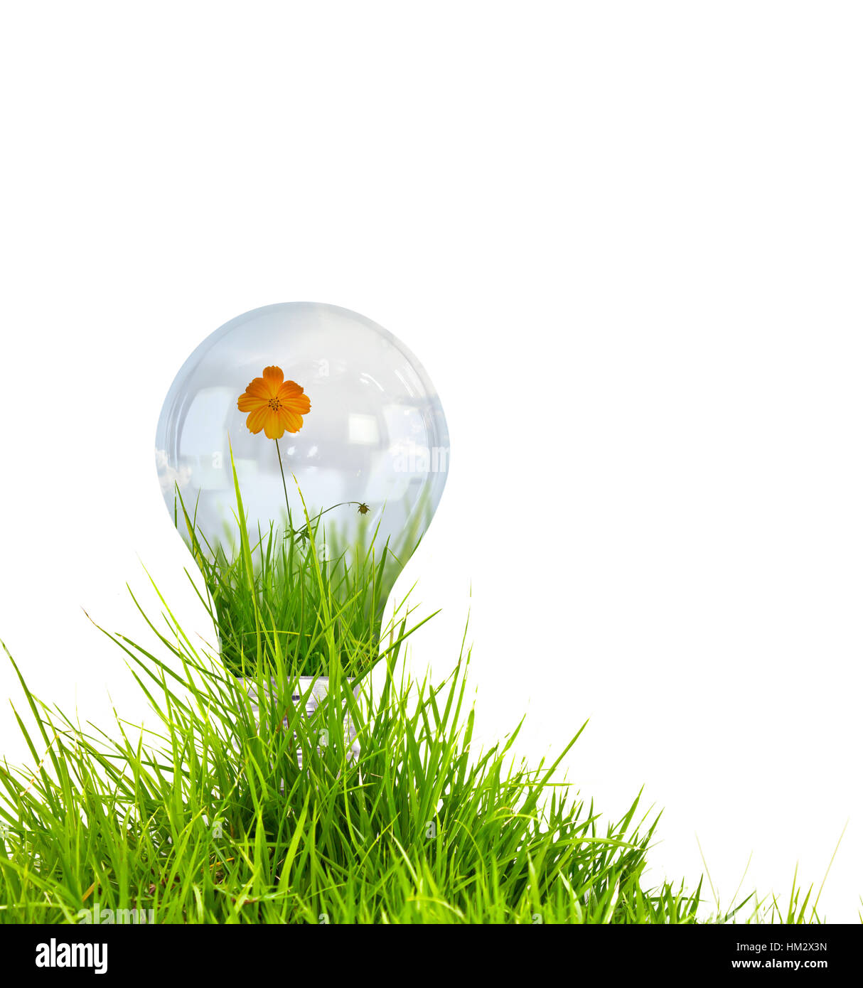 light bulb with beautiful flower inside Stock Photo - Alamy