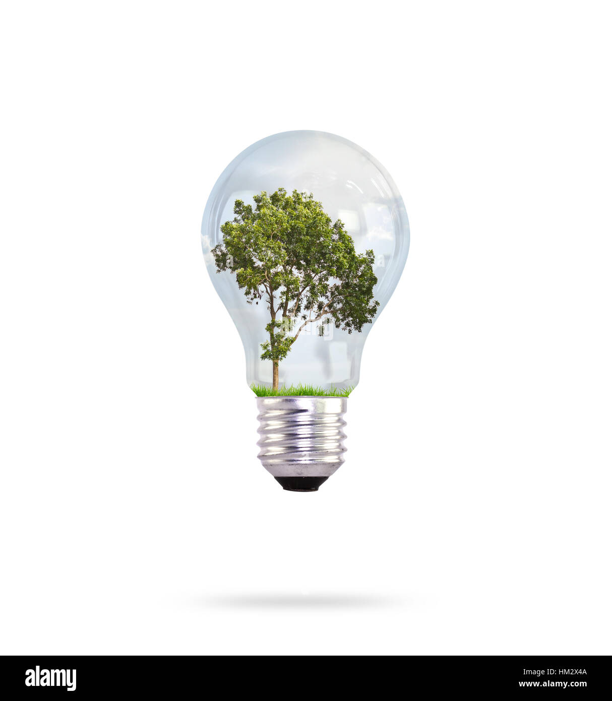Eco concept: green tree growing in a bulb Stock Photo - Alamy