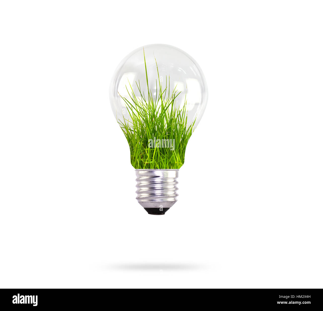 light bulb with grass inside Stock Photo - Alamy