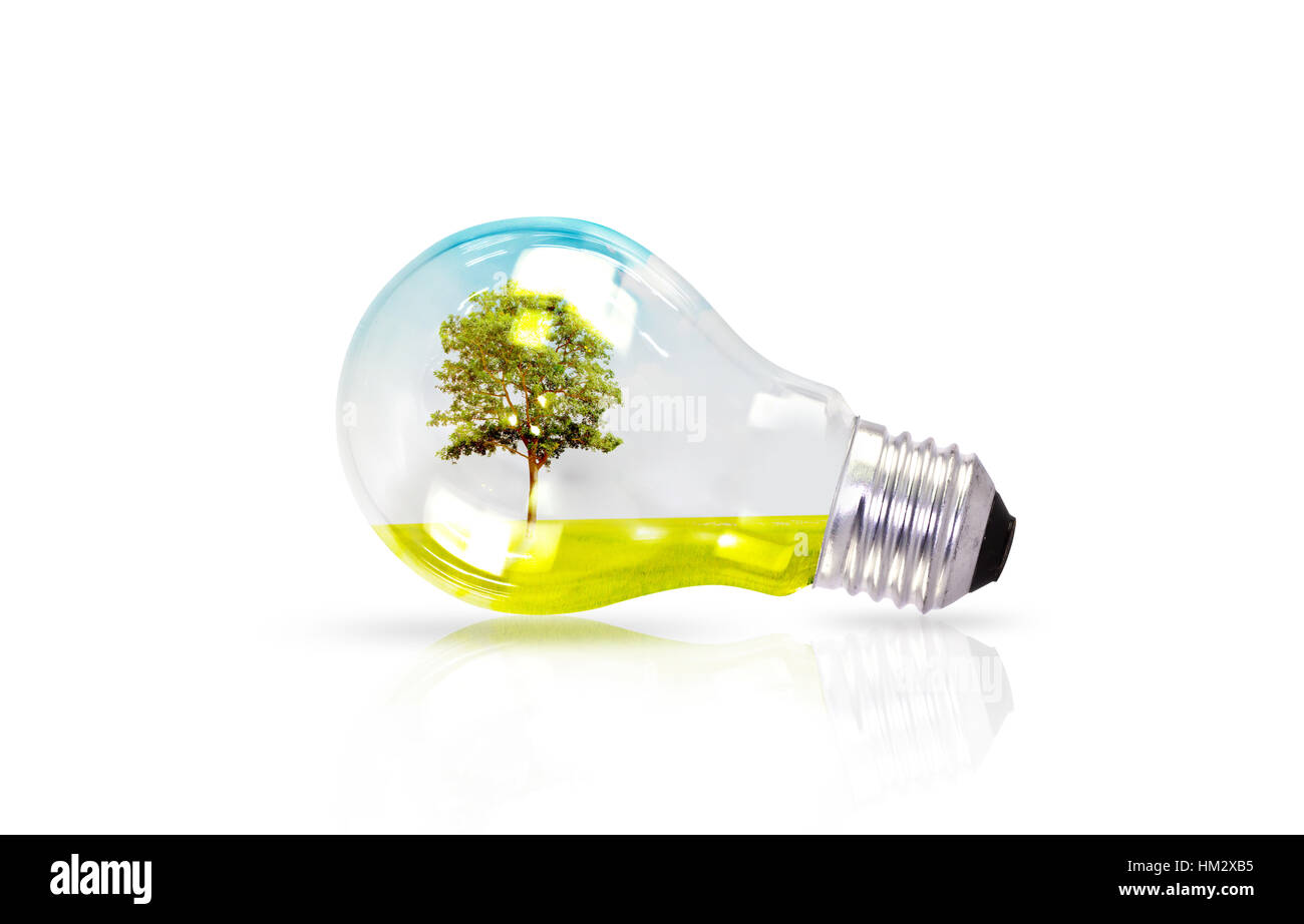 light bulb with tree inside Stock Photo - Alamy