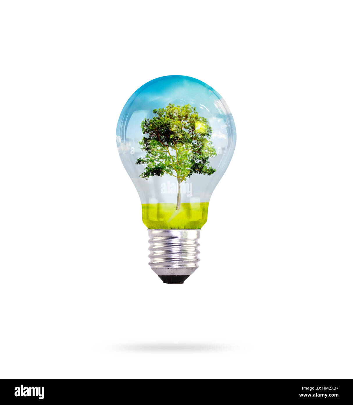 light bulb with tree inside Stock Photo - Alamy