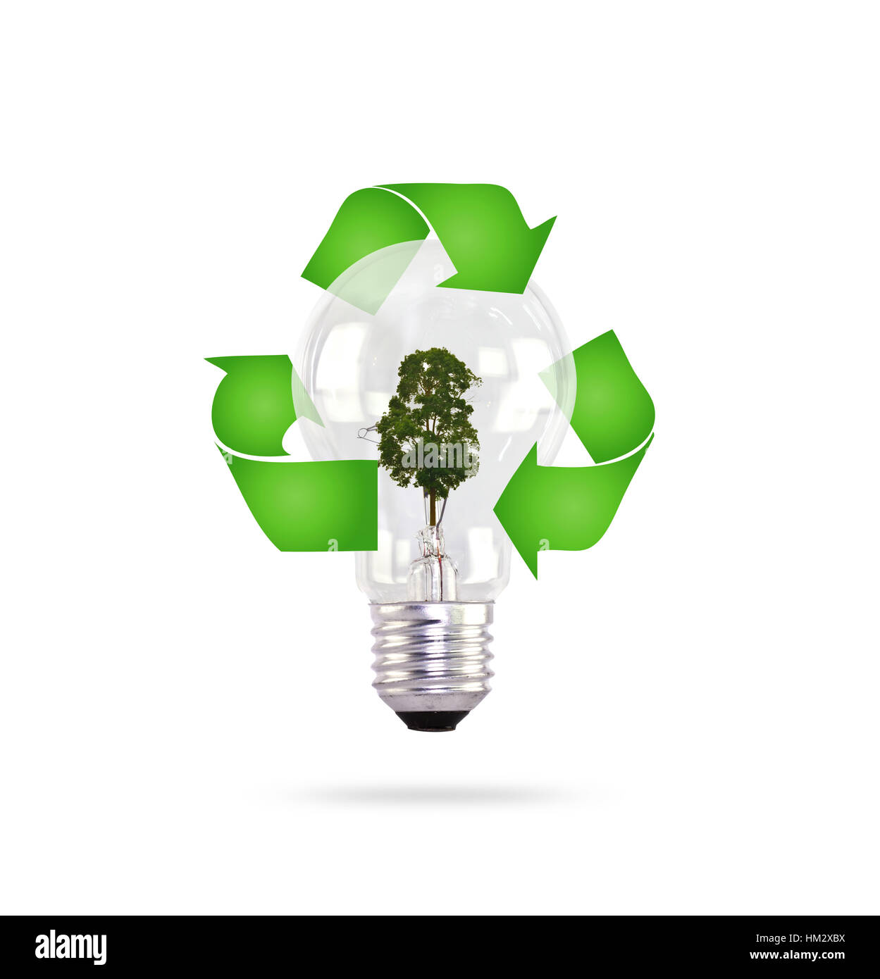 Light Bulb with tree inside Stock Photo - Alamy