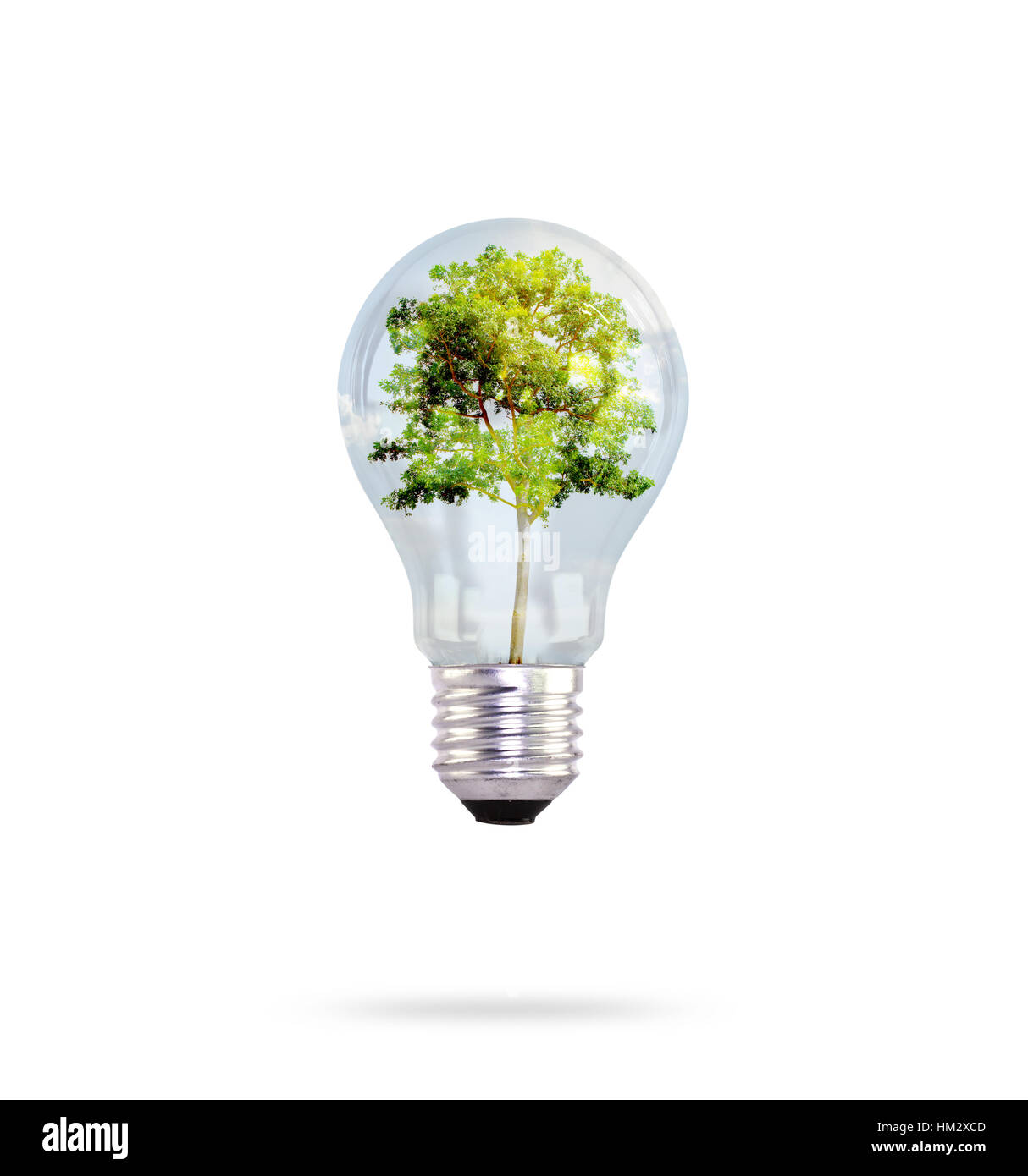 light bulb with tree inside Stock Photo - Alamy