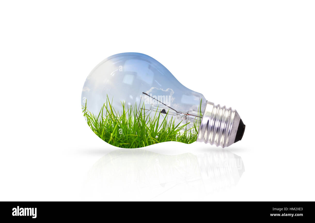 light bulb with landscape inside isolated on white Stock Photo - Alamy