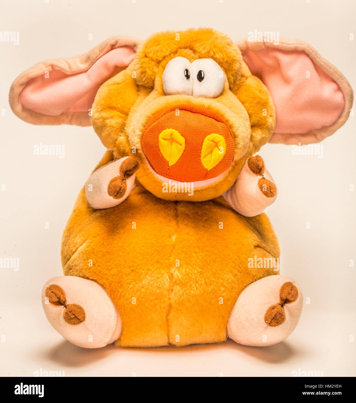 toy stuffed pig in sitting position Stock Photo - Alamy