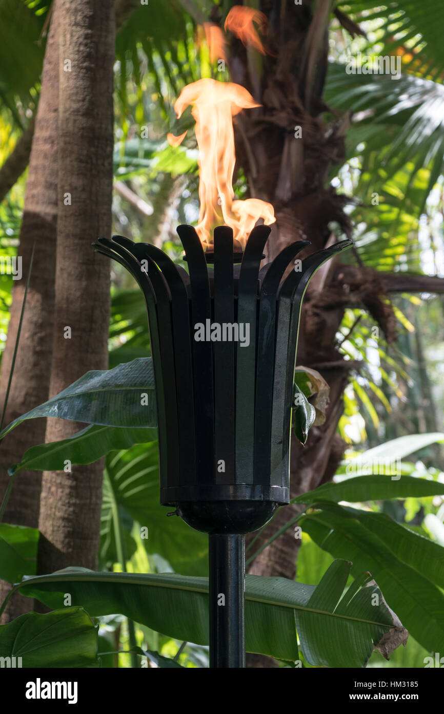 Real flame gas powered tourch Stock Photo - Alamy