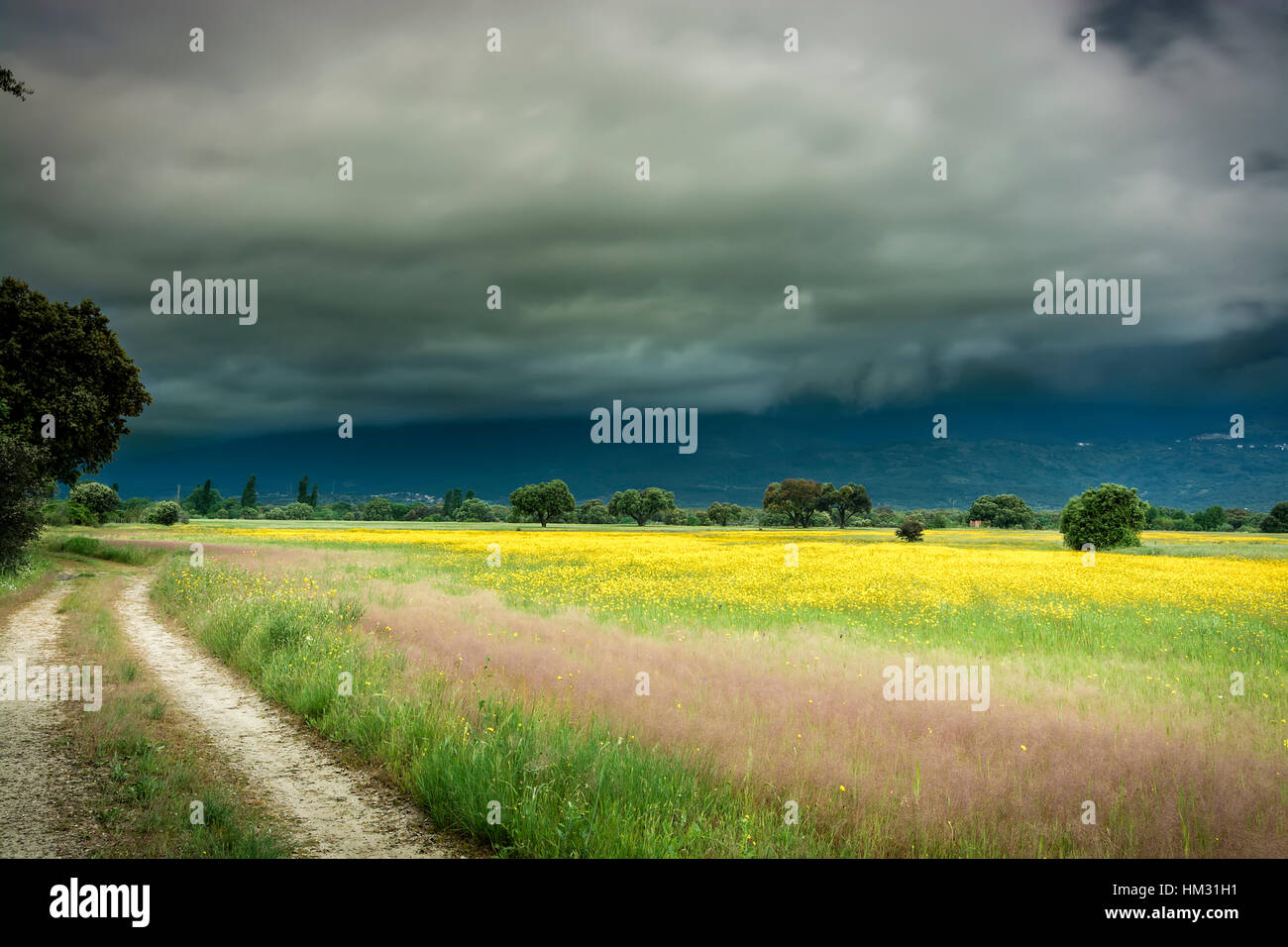 Storm background hi-res stock photography and images - Alamy