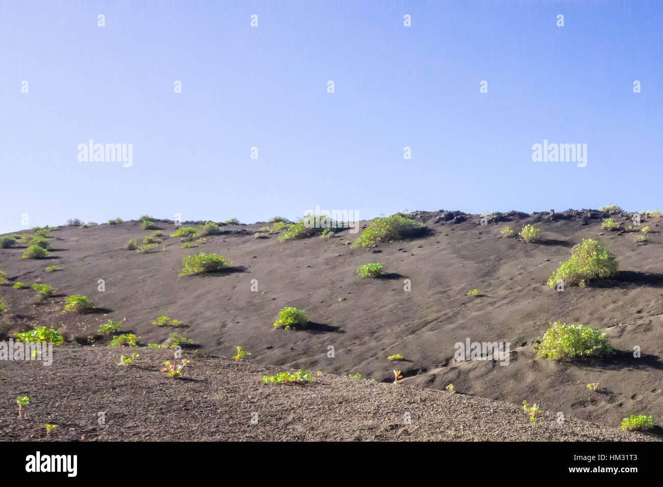 Obsidian flow fields hi-res stock photography and images - Alamy