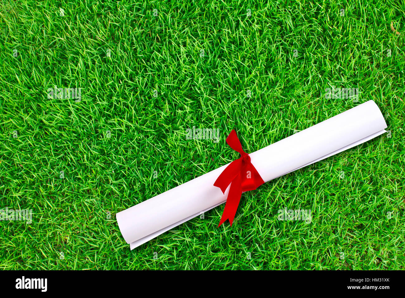 Diploma wrapped with a red ribbon on fresh spring green grass Stock ...