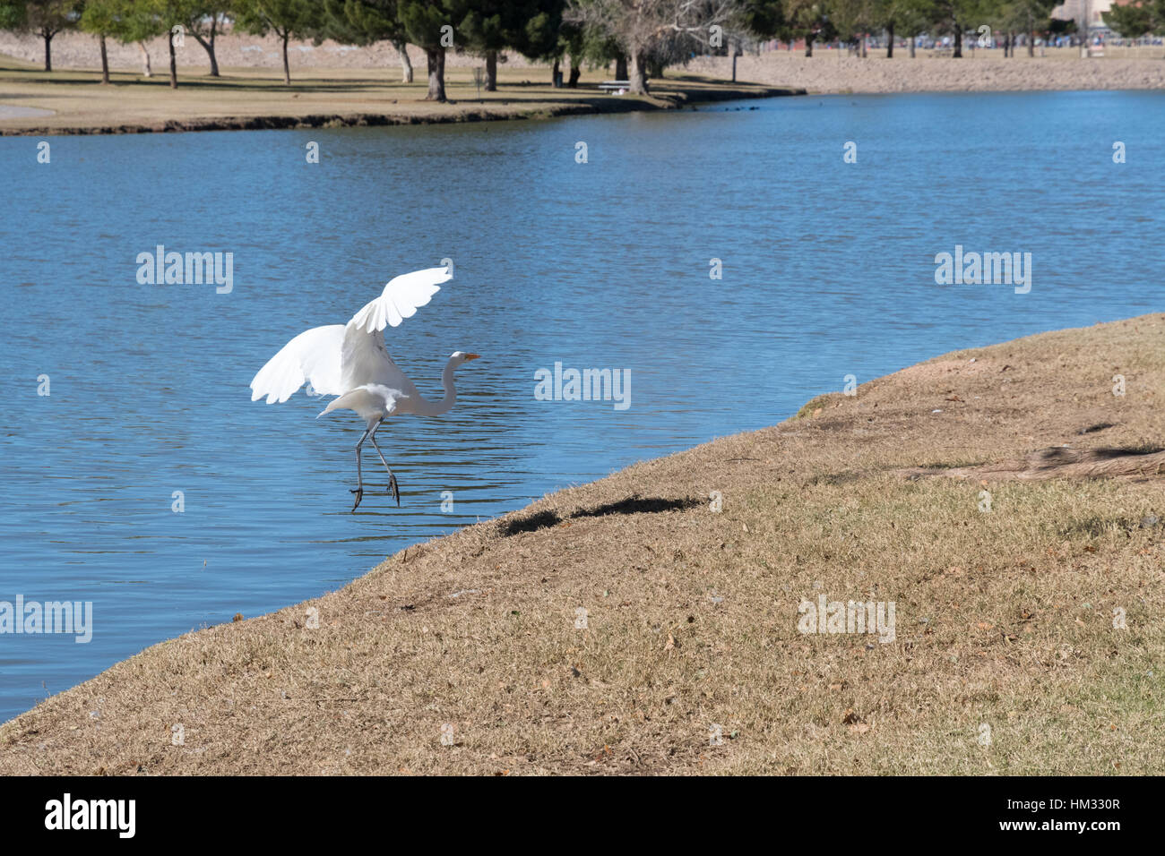 Vincent landing hi-res stock photography and images - Alamy