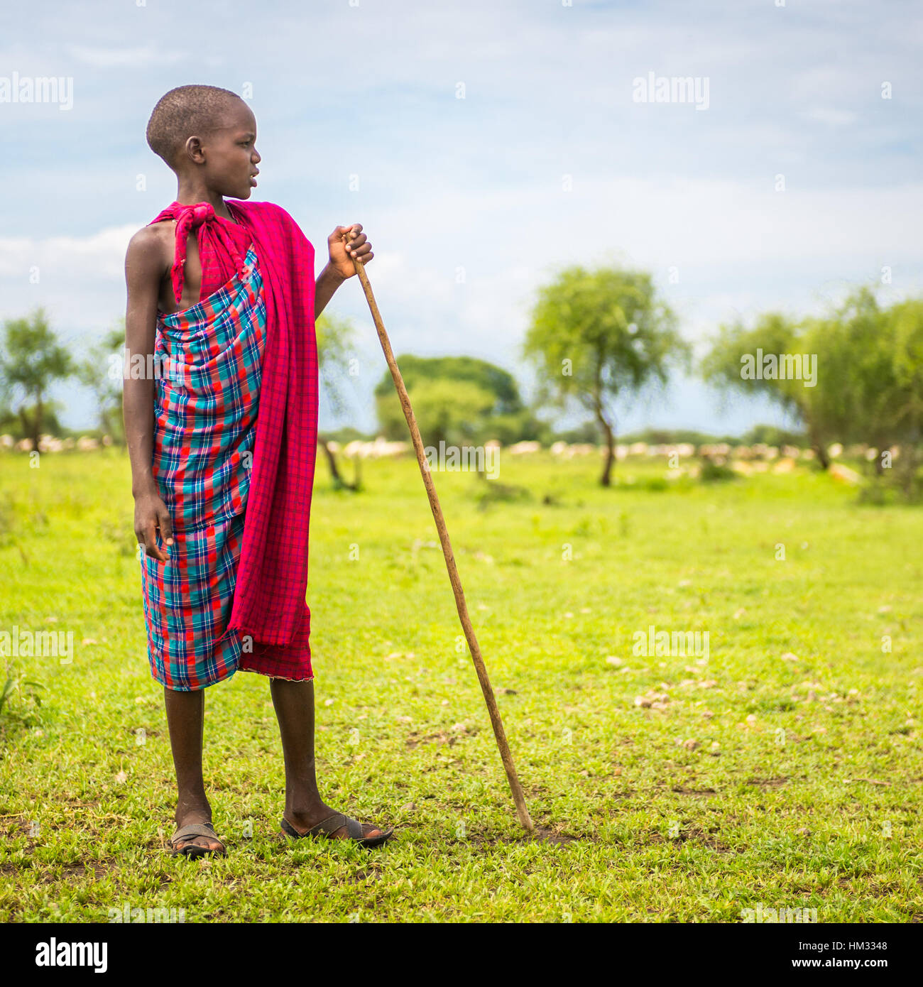 Young Maasai warrior boy in Tanzania Stock Photo - Alamy