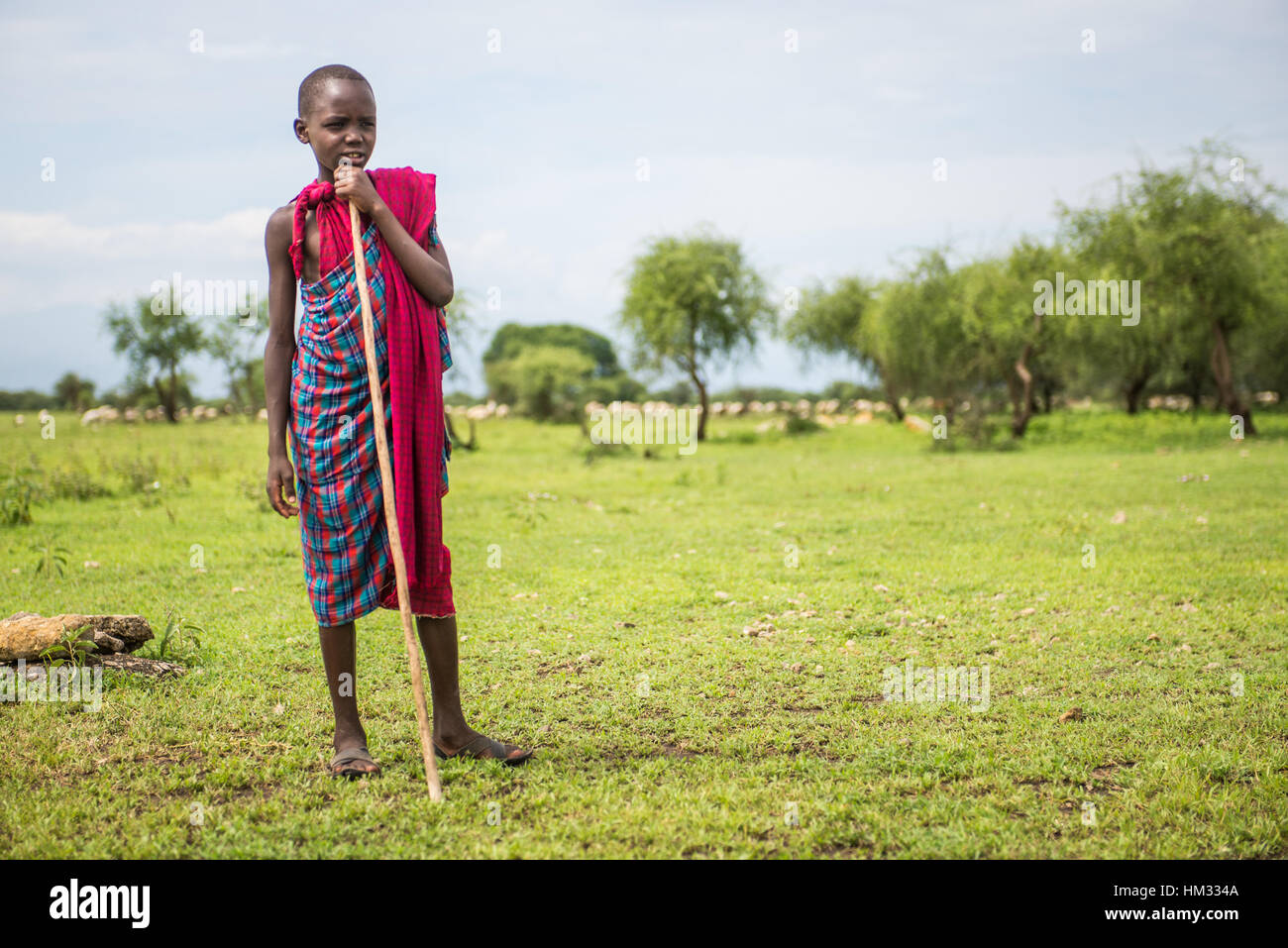 Young Maasai warrior boy in Tanzania Stock Photo - Alamy