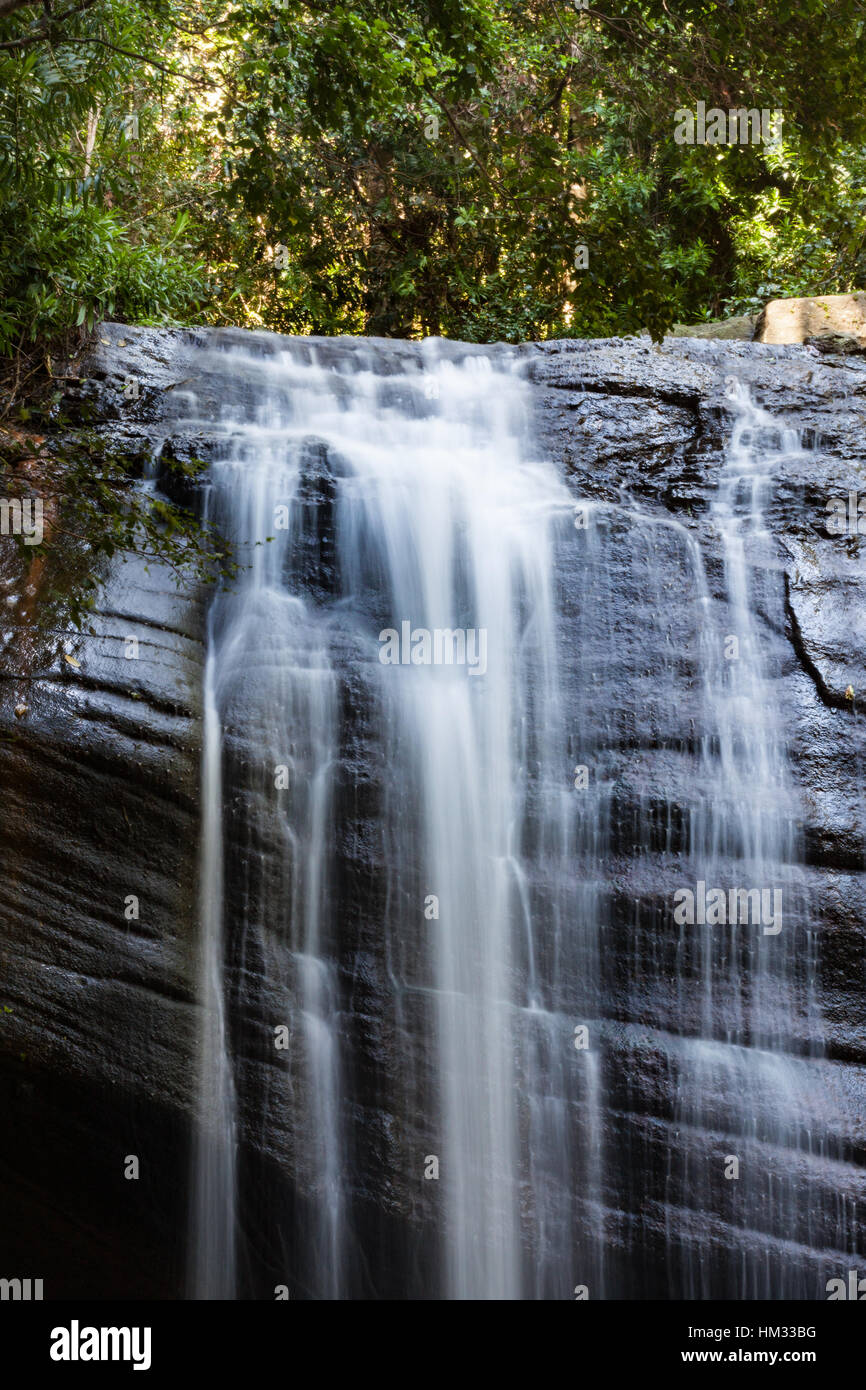 Buderim hi-res stock photography and images - Alamy