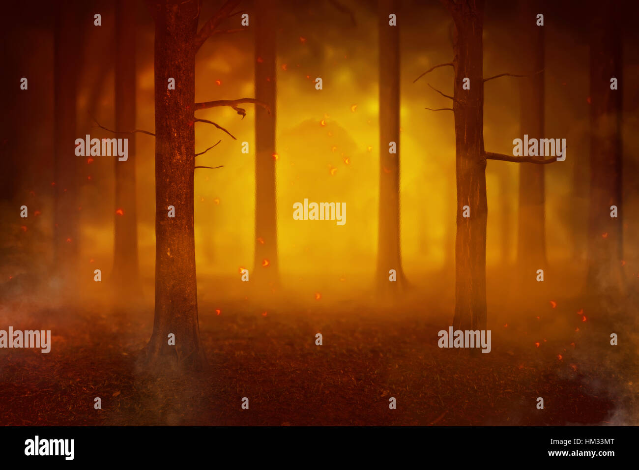 Temperature rise impact to the fires in the forest. Climate change ...