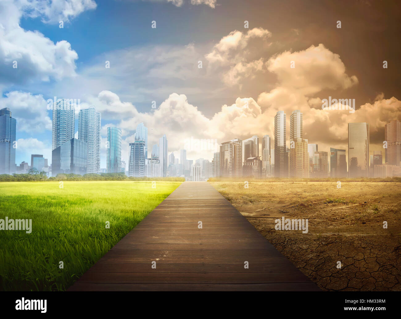 Landscape of timber pathway with the changing environment in the modern ...