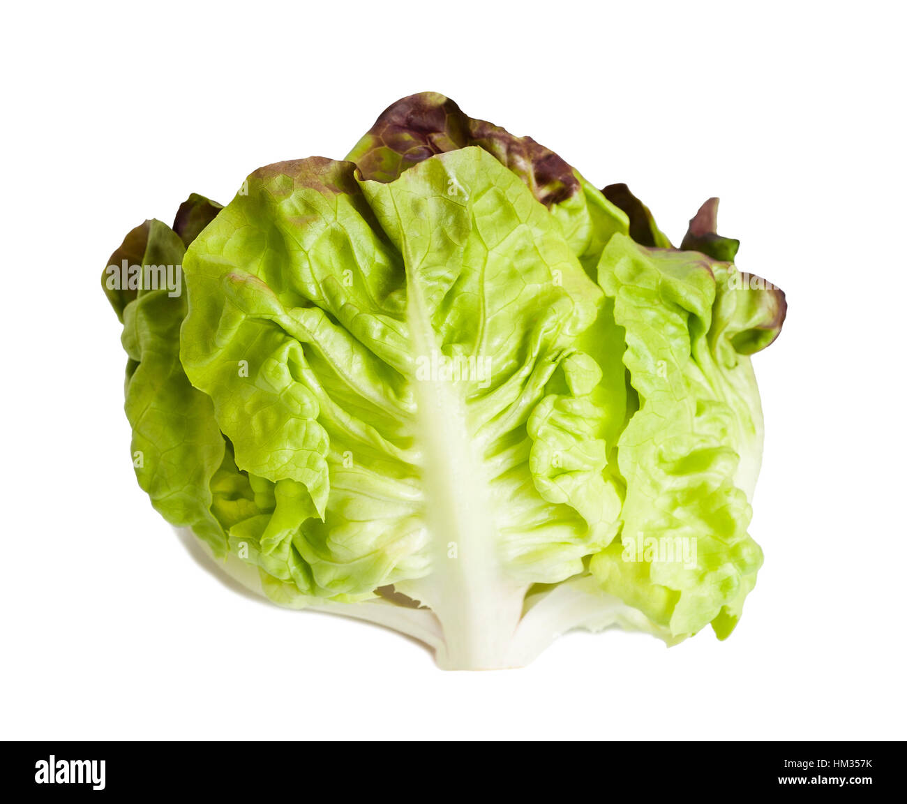 Lettuce cap Cut Out Stock Images & Pictures - Alamy