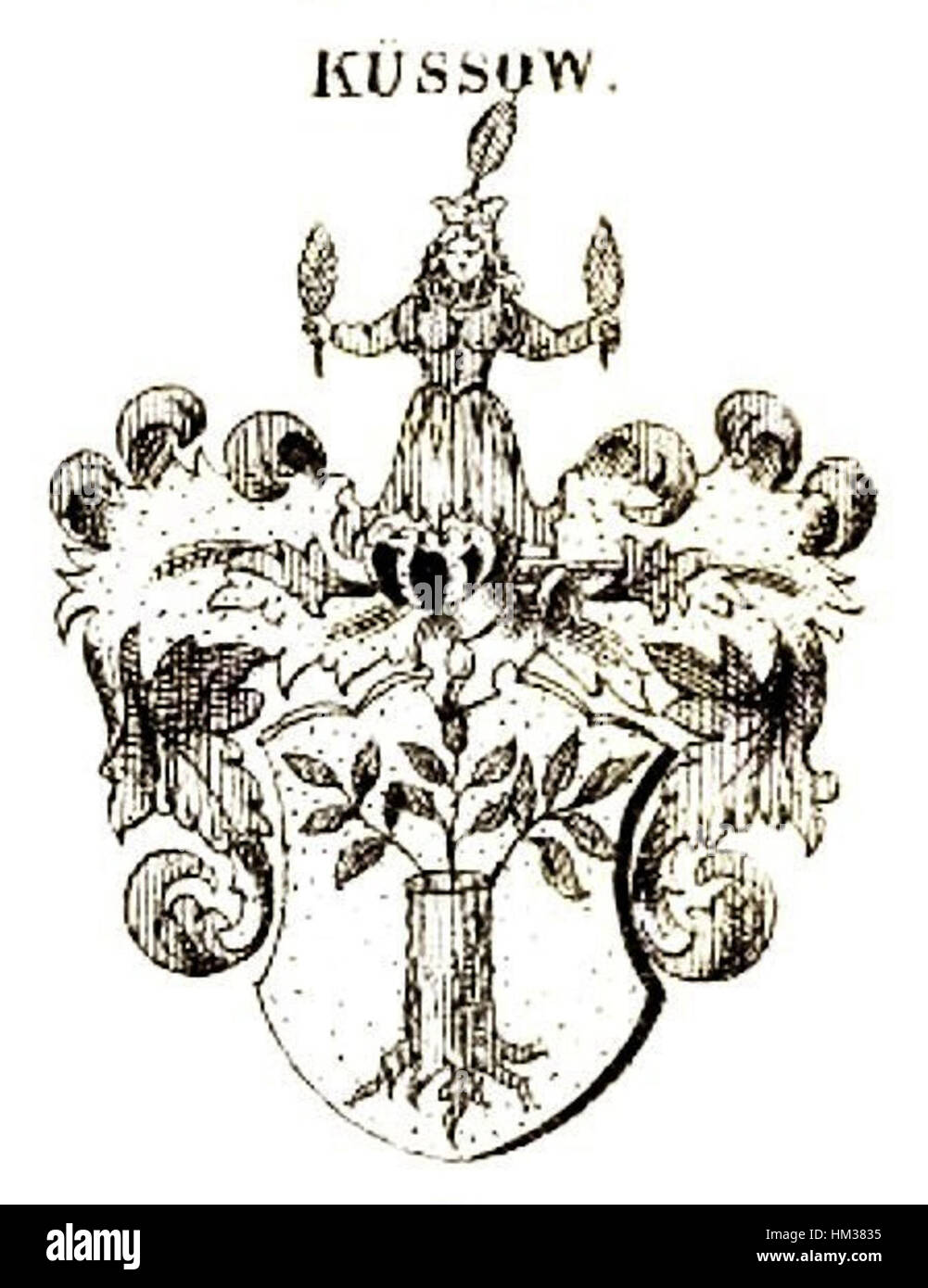 This heraldic artwork depicts the coat of arms of the village of ...