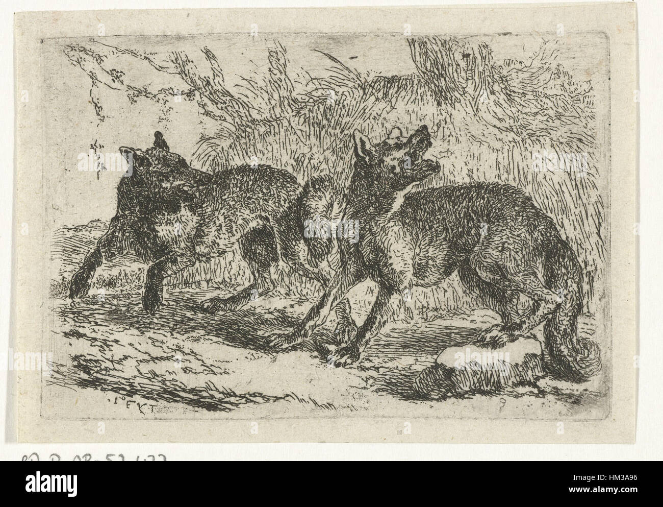 Two wolves painting hi-res stock photography and images - Alamy