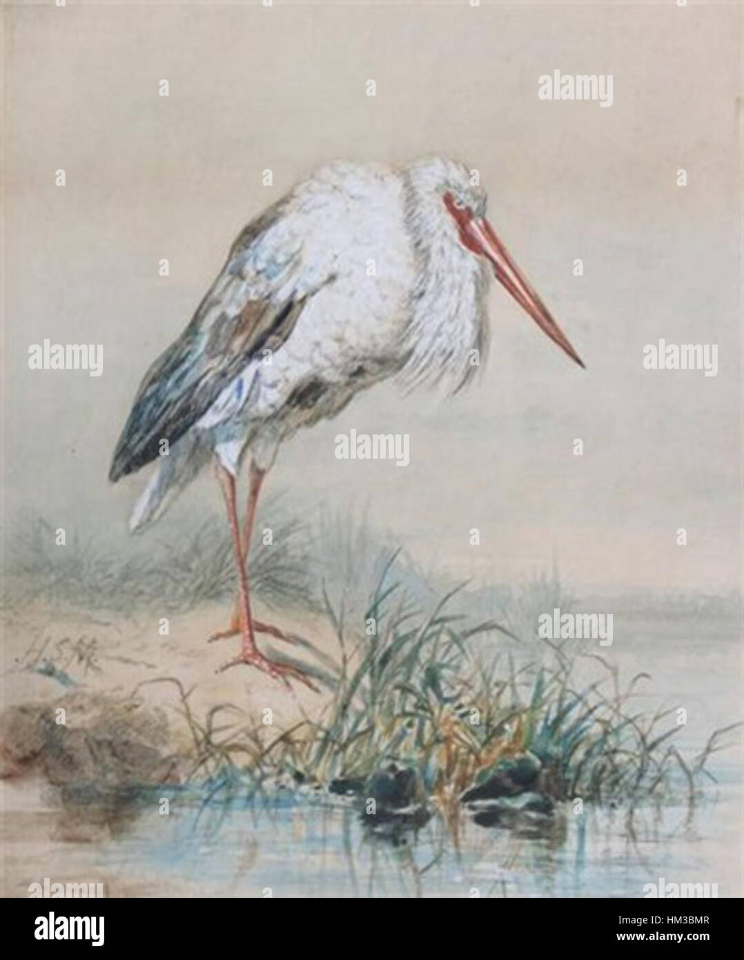 Henry Stacy-Marks' painting 'A Stork by a River' features a detailed ...