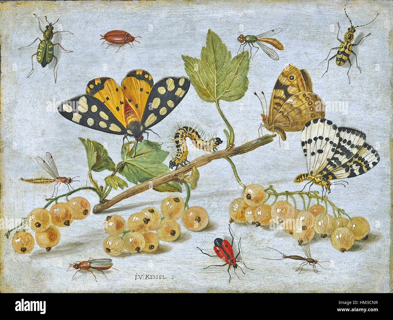 This piece by Jan van Kessel showcases his skill in detailed nature ...