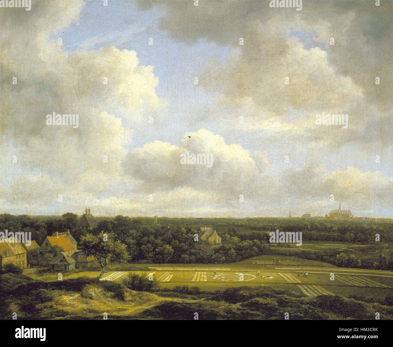 Haarlem plain hi-res stock photography and images - Alamy